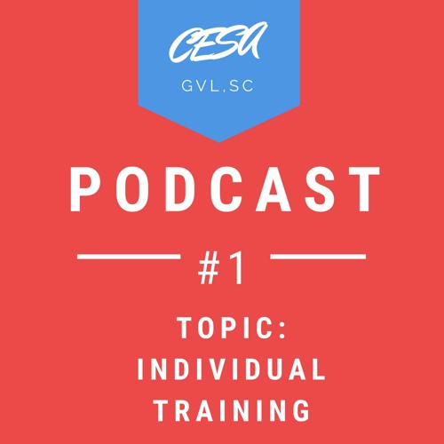 Stream episode CESA Pod #1- Individual Training by CESA podcast | Listen online for free on ...