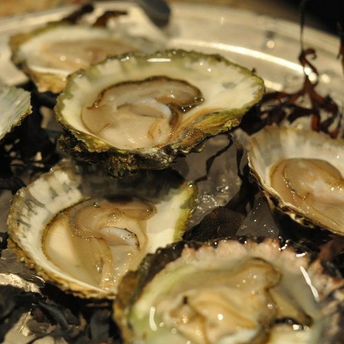 Stream Seafest returns to Squirrel Cove Sat May 20 by Cortes Currents ...