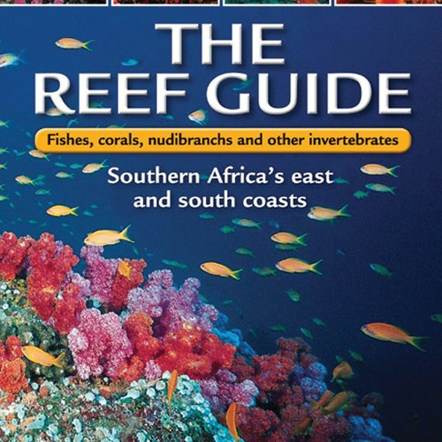 Listen to music albums featuring PDF The Reef Guide: Fishes, corals ... Listen to music albums featuring PDF The Reef Guide: Fishes, corals ...
