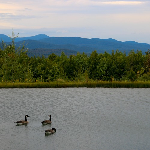 Stream Unplug Your Patterns - Soryu Forall by Monastic Academy | Listen ...