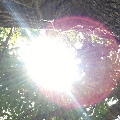 Stream angels surround me by Fuss Cannon | Listen online for free on ...