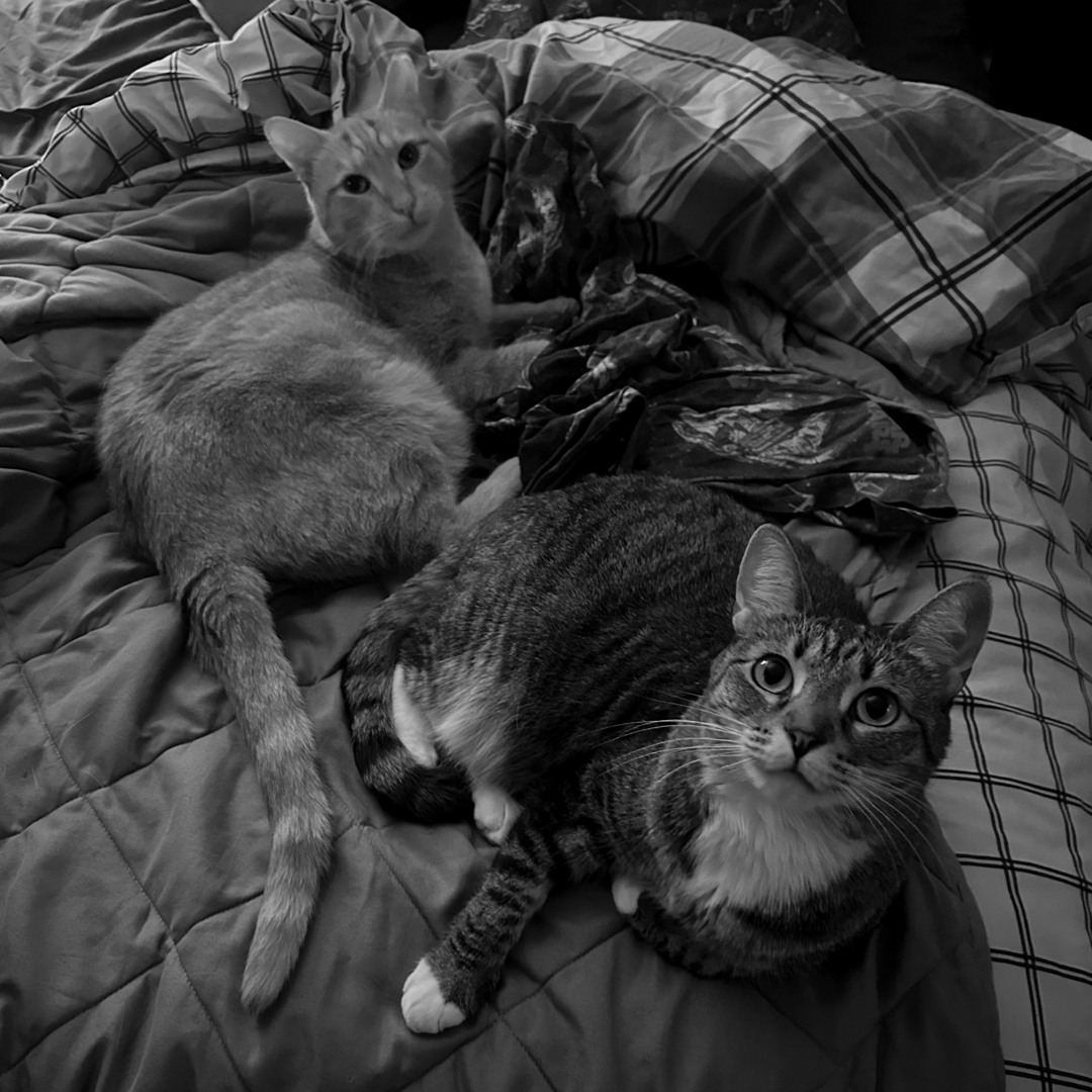 Stream Spectrum by flight simulator 🛫 | Listen online for free on ...