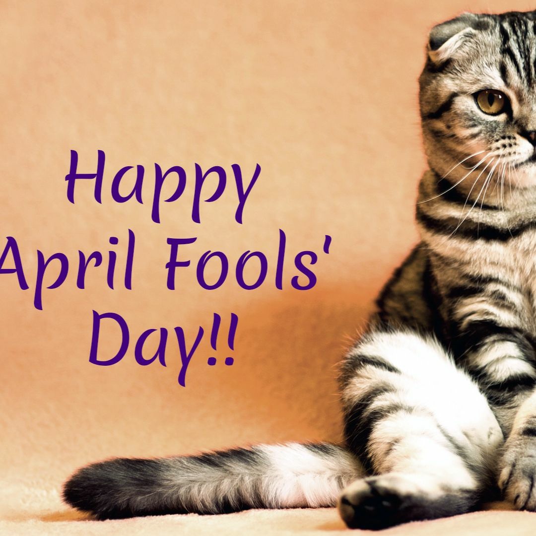 Stream ultimate april fools [ cover ] by arys | Listen online for free ...