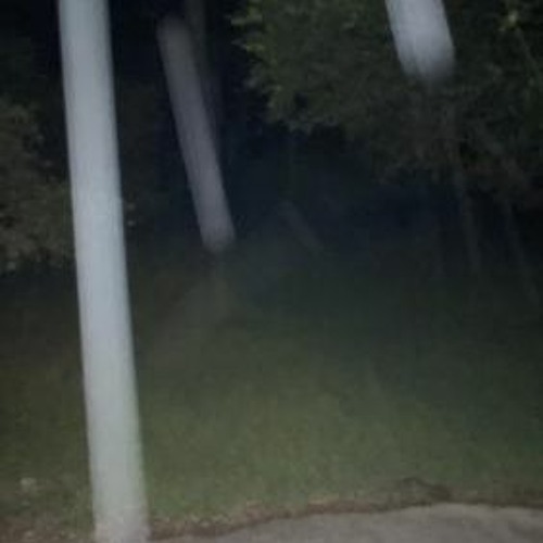 Stream 2hollis they dont get it by 1234 | Listen online for free on ...