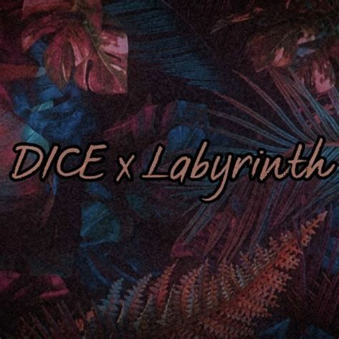 Stream NMIXX - DICE x 9lives - labyrinth | Slowed (BassBoosted) by ...