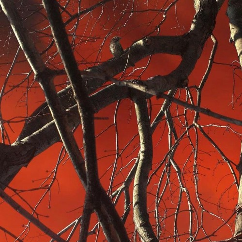 Stream -Filthy- Playboi Carti x F1lthy x Ken Carson type (prod.ALeSH ...