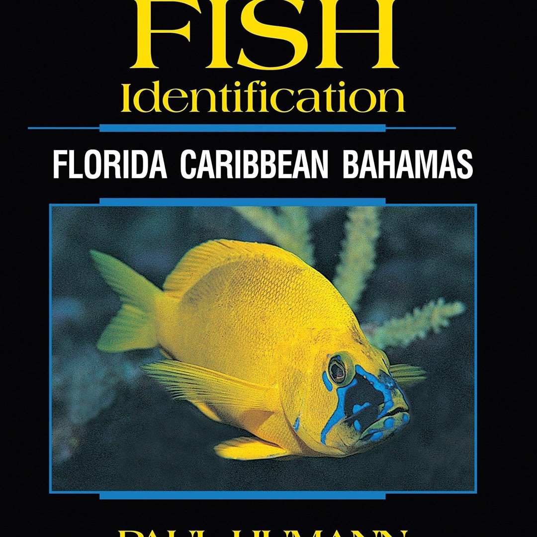 Stream episode [READ ] Reef Fish Identification - Florida Caribbean ...
