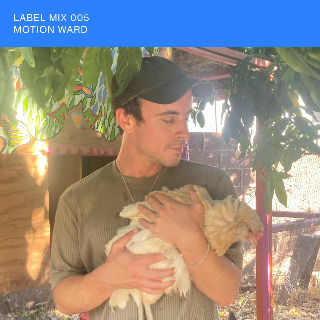 Stream Nina Label Mix 005: Motion Ward by Nina | Listen online for free ...