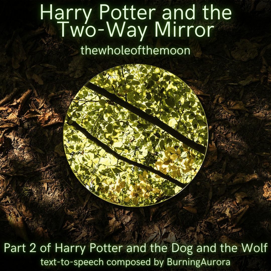 Stream Two-Way Mirror by thewholeofthemoon | Harry Potter and the Dog ...