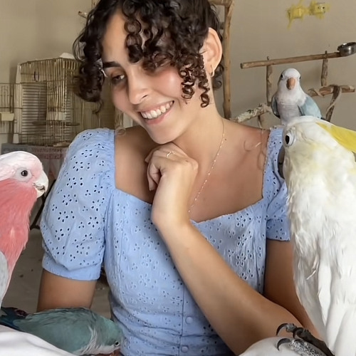 Stream Sara Haytham - Meen Dah Elly Nseik.mp3 by Feel Good | Listen ...