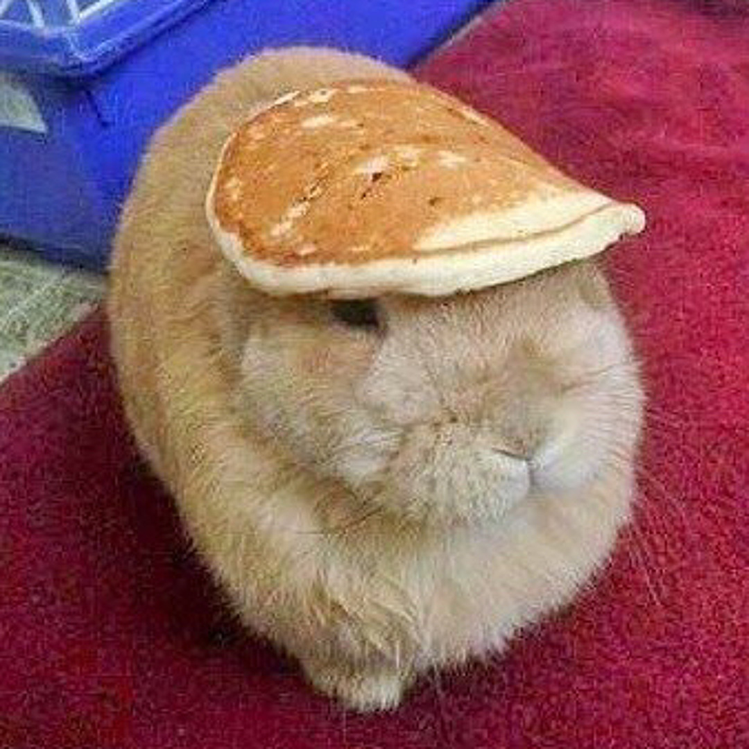 Stream take u out - capoxxo by internet stars | Listen online for free ...