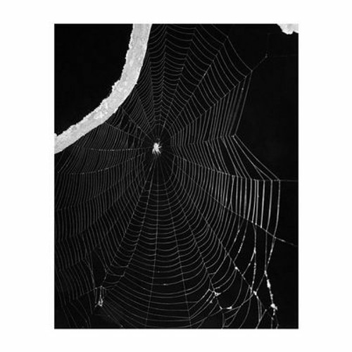 Stream It's Hard To Get Around The Wind by Neil Spiers | Listen online ...