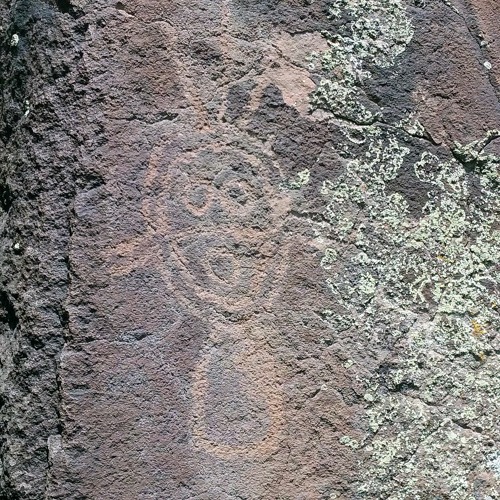 Stream Calling In Kin 4421 by Raven Tompkins | Listen online for free ...