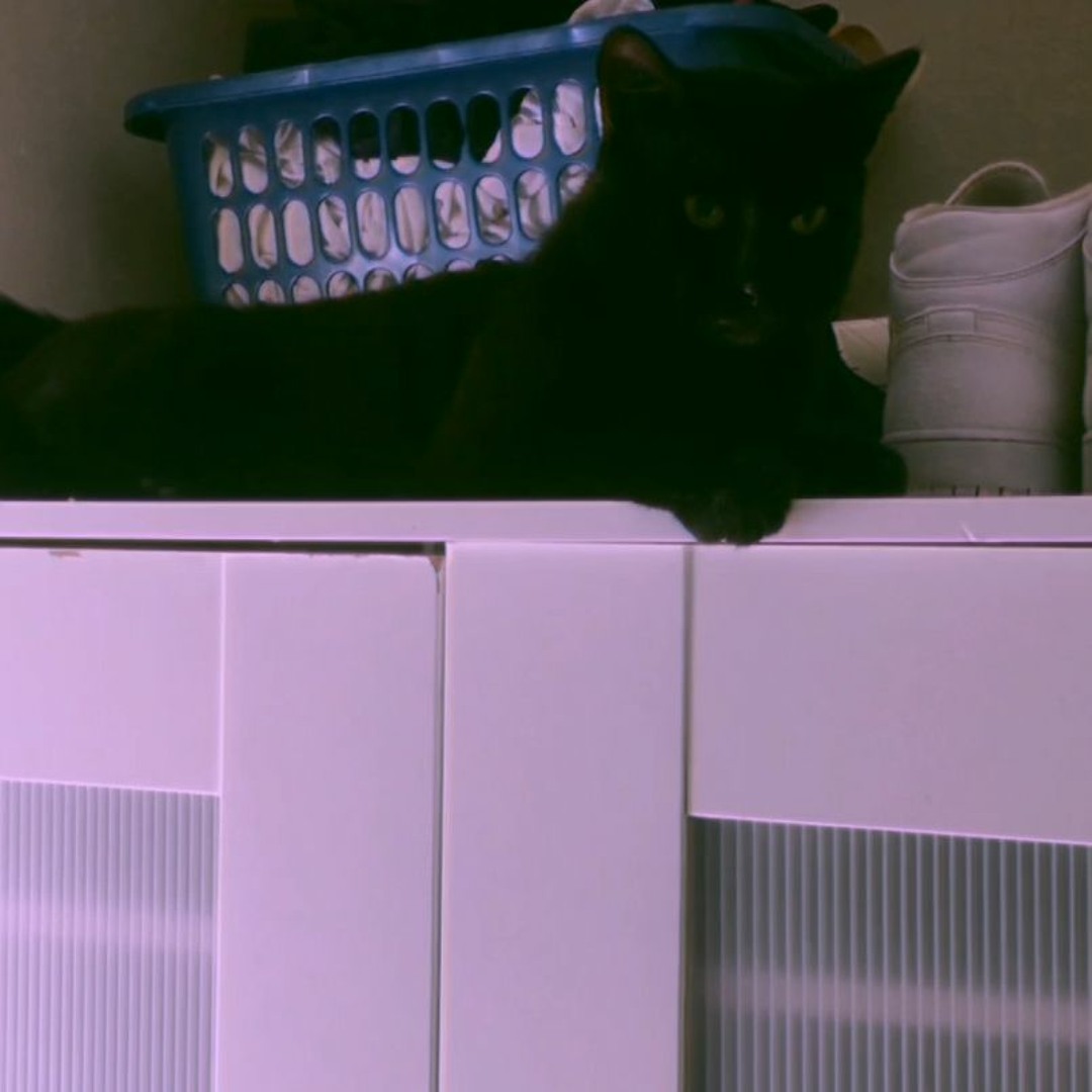 Stream Wait For You by Tomzy | Listen online for free on SoundCloud