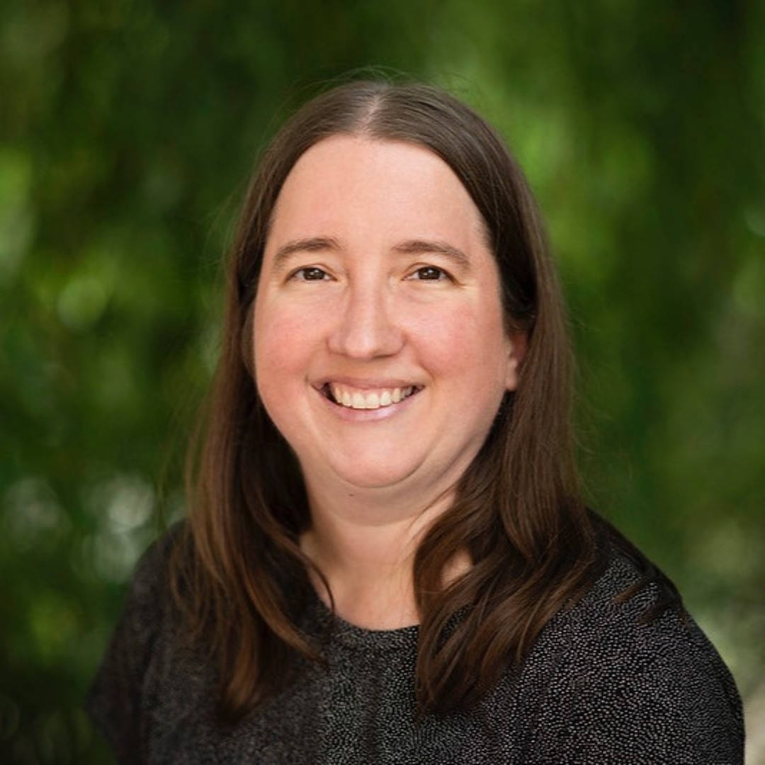 Stream episode SoS 151 - Modeling a Pandemic with Dr. Jessica Dimka by ...