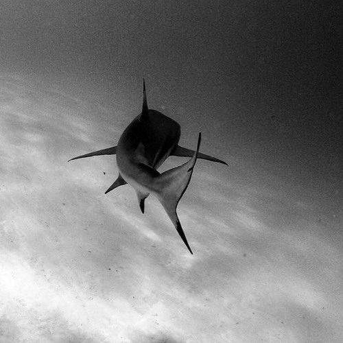 Stream Vezal - Drowning (slowed reverb) (instrumental) by Sincerity ...