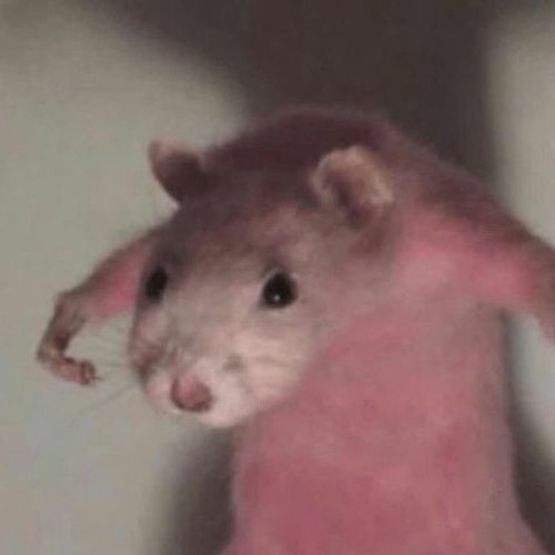 Stream Brother Rat? - D. $wizz x Baby Shiesty x Timbo $lyce x T Muney x ...