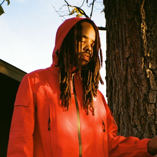 Stream Earl Sweatshirt - 2010 (Navy Blue Birds Remix) by ''HellStar ...