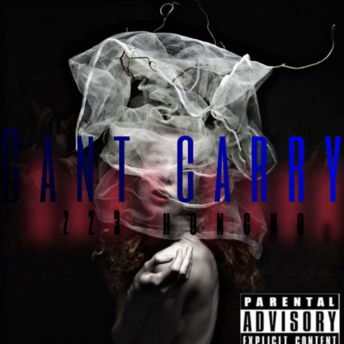 Stream 223HONCHO- CANT CARRY by 223 Honcho | Listen online for free on ...