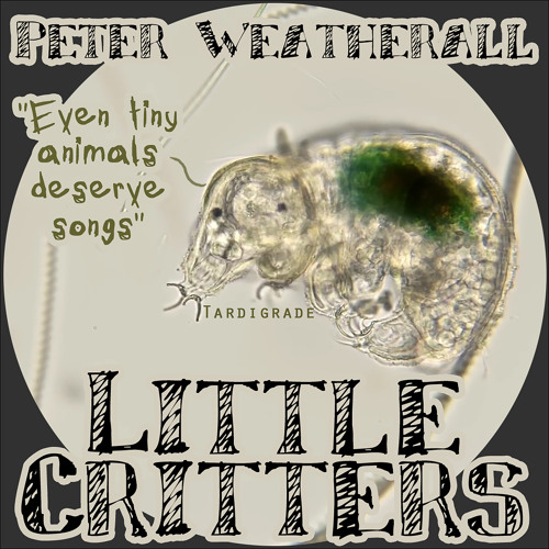 Stream Centipedes and Millipedes by Peter Weatherall | Listen online ...