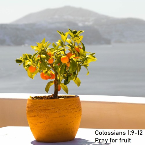 Stream Colossians 1:9-12 04/09/2022 (Samuel Imarhiagbe) by Grace ...