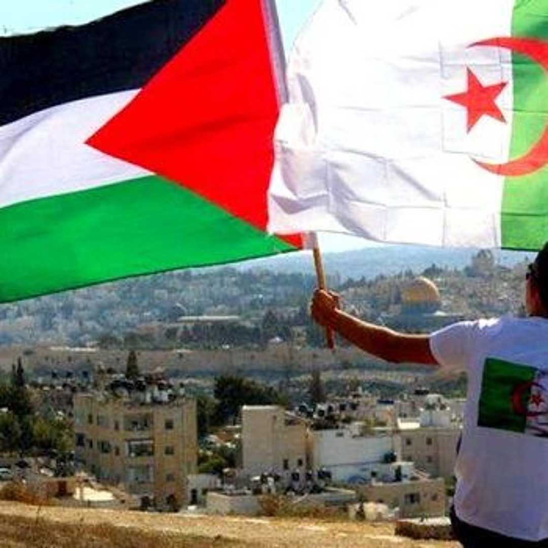 Stream Exploring the parallels between the Algerian and Palestinian ...