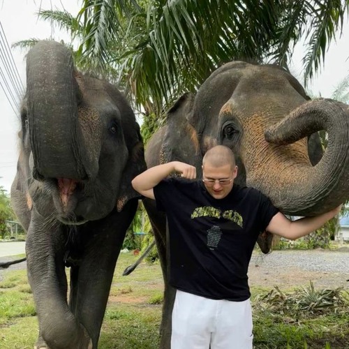 Stream ALBLACK 52 - Весенний 52 by скручен | Listen online for free on ...