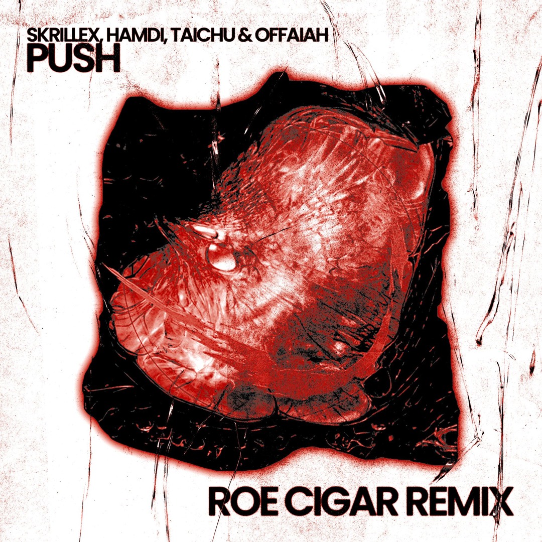 Stream Skrillex, Hamdi, TAICHU & OFFAIAH - Push (Roe Cigar Remix) by ...