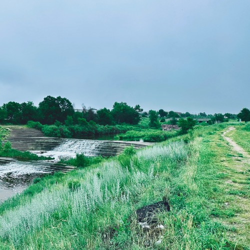 Stream The Weeds (Demo) by Bryson Burns | Listen online for free on ...