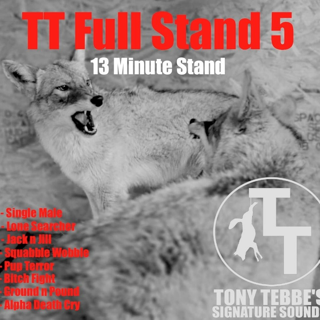 Stream TT Full Stand 5 by Tony Tebbe | Listen online for free on SoundCloud