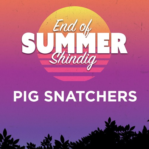 Stream Pig Snatchers @ End Of Summer Shindig Volts Hemel Hempstead 28th ...