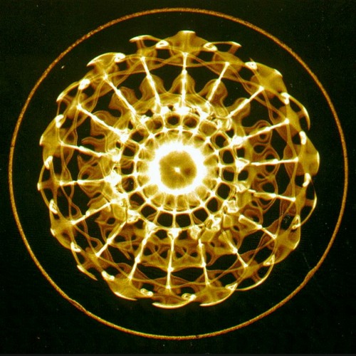 Stream Our Fluid Body Series October 2022- 1 -Cymatics ~ The Dance Of ...