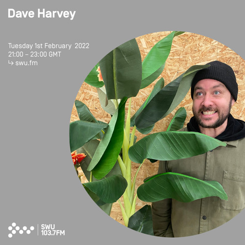 Stream Dave Harvey 01ST FEB 2022 by SWU.FM | Listen online for free on ...