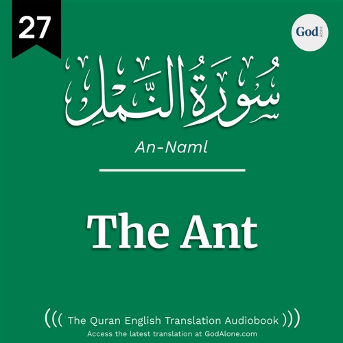 Stream 27.The Ant by Quran Scripture | Listen online for free on SoundCloud