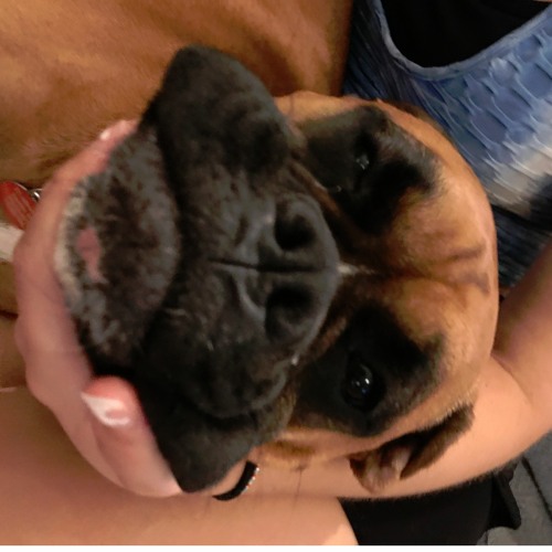 Stream Expanding And Explaining (first take) by Andrew Mappes | Listen ...