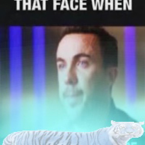 Stream Giant Realistic Flying Tiger hits that footwork like by Uncle ...