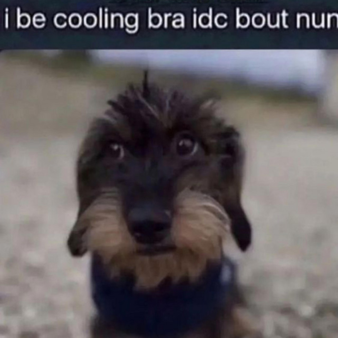 Stream yuke & lungskull gone by aryzo! | Listen online for free on ...