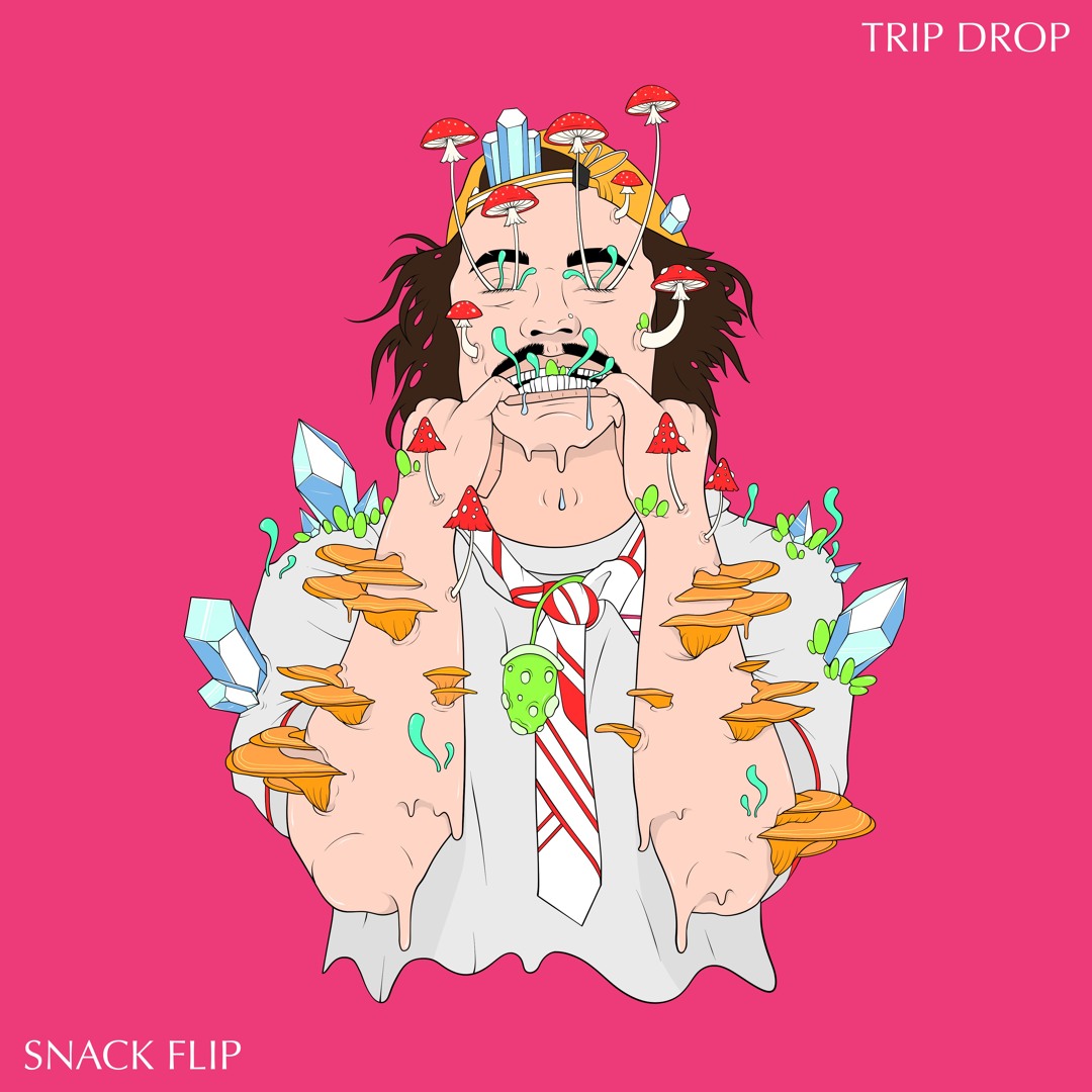 Stream SNACK FLIP - TRIP DROP by TRIP DROP | Listen online for free on ...