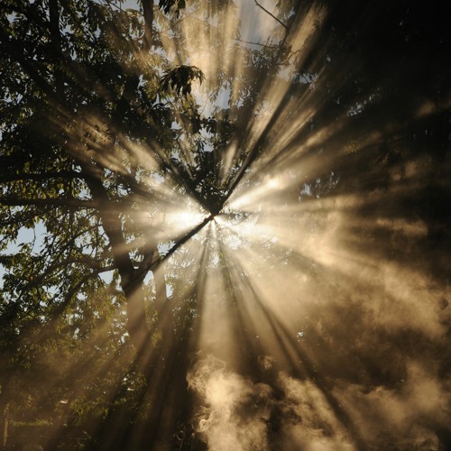 Stream Light Bath - Quick Practice by Jeddah Mali by Intelligent Life ...