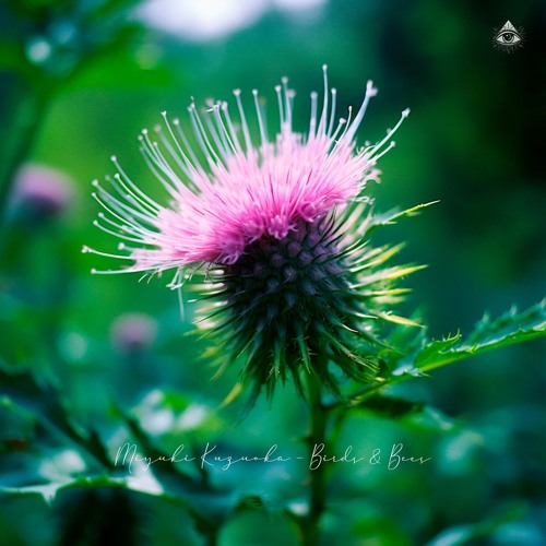 Stream Miyuki Kuzuoka - Birds & Bees ( Japanese lofi hip hop ) by ... Stream Miyuki Kuzuoka - Birds & Bees ( Japanese lofi hip hop ) by ...