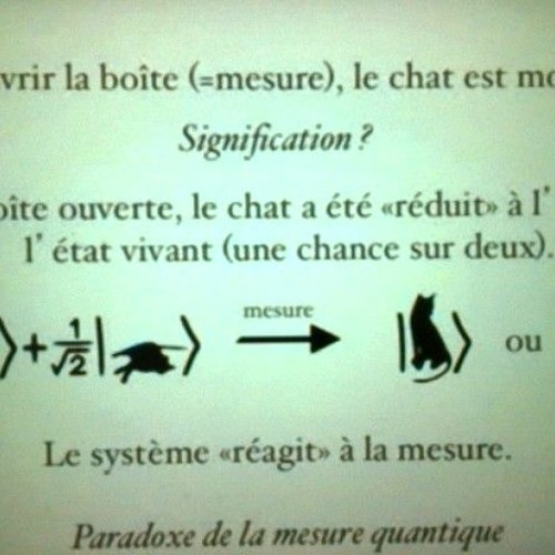 Stream Patachimie by Ours cradingue | Listen online for free on SoundCloud