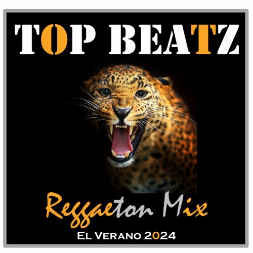 Stream Top Beatz - El Verano Mix by Top Beatz | Listen online for free ...