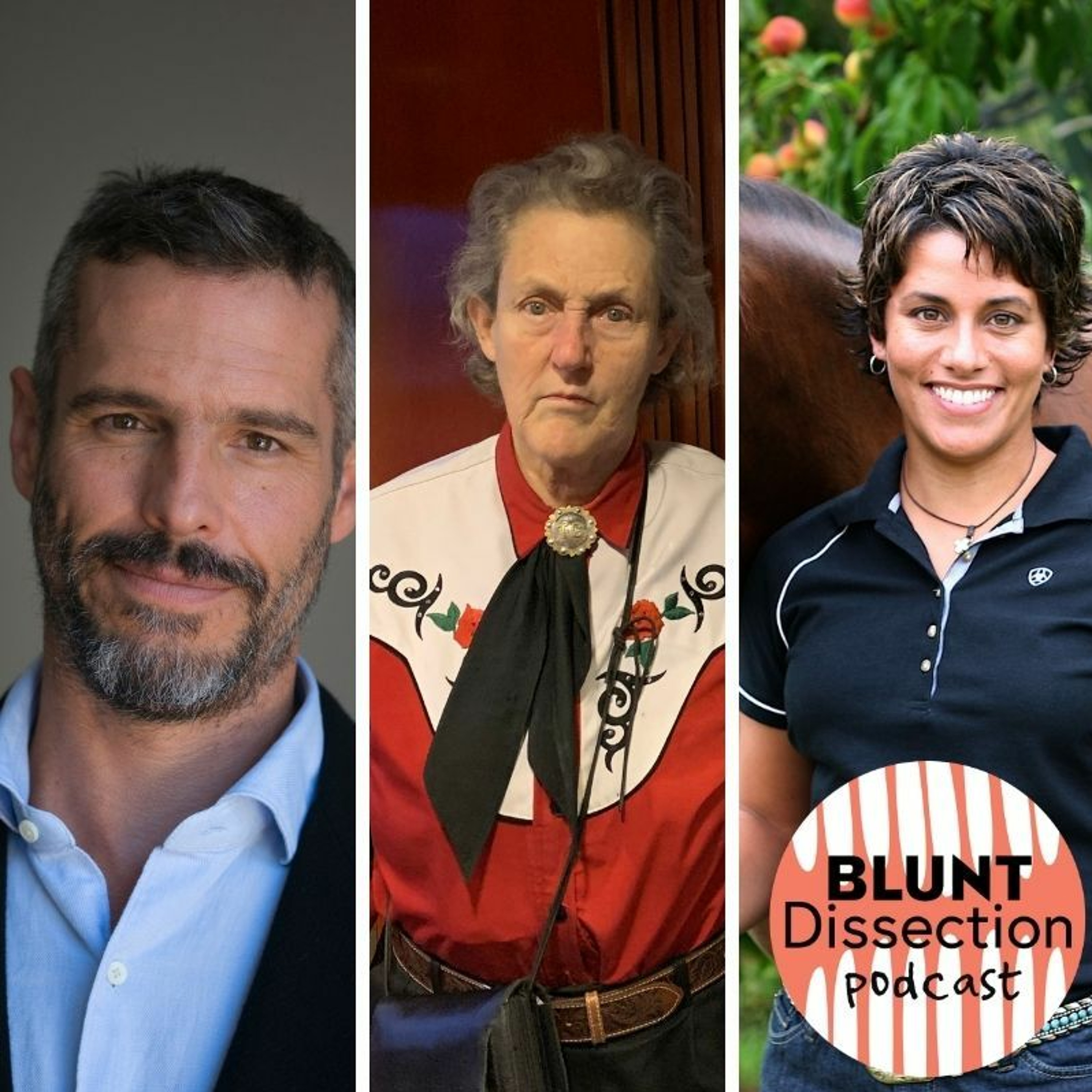 Ep 51 - Dr Fabian Rivers - Inclusion & Diversity in Veterinary Medicine ...