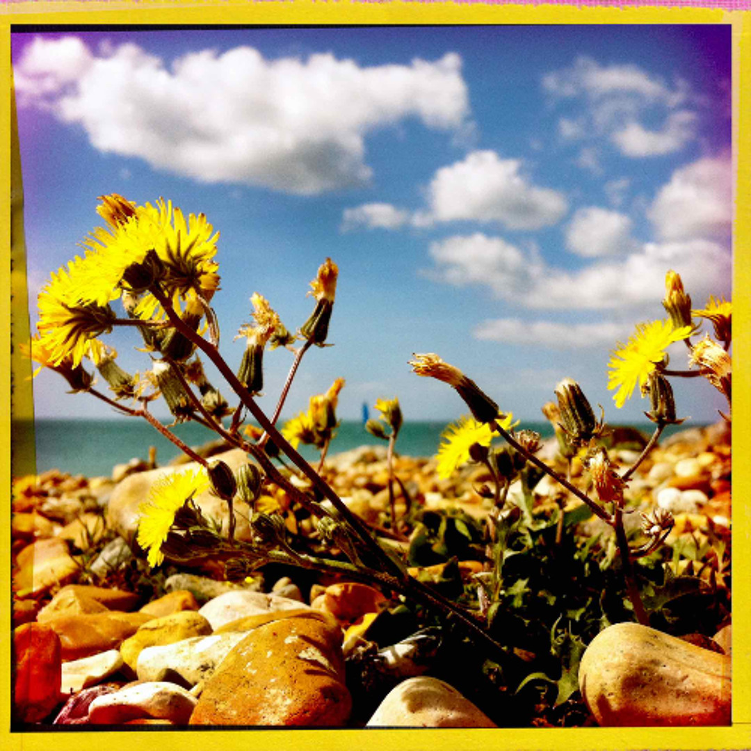 Stream THE BOATMAN by Peter Spafford/Edible Tent | Listen online for ...