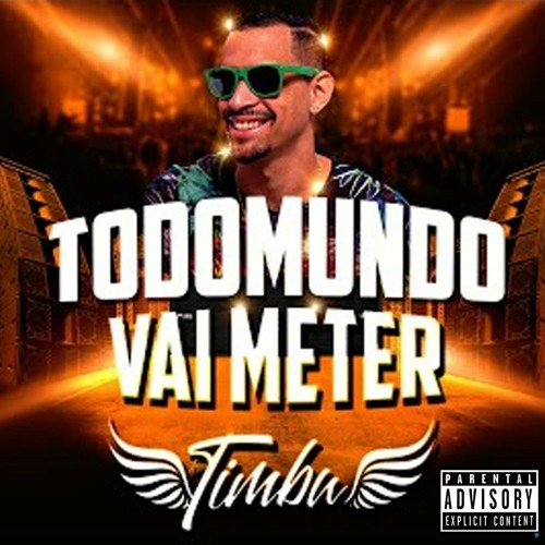 Stream Todo Mundo Vai Meter by MC Timbu | Listen online for free on ...