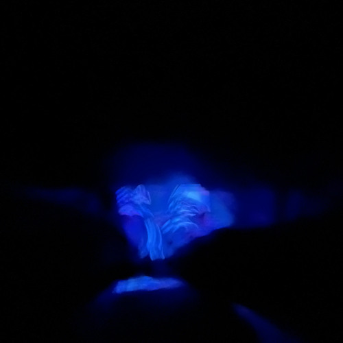 Stream LeaveherftQuanDawqq by Swarmy🏦💥 | Listen online for free on ...