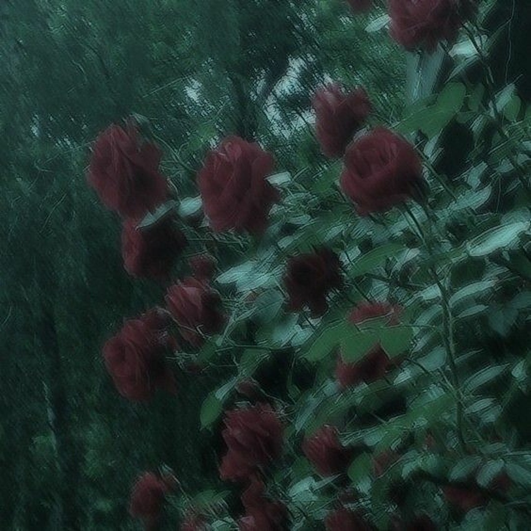 Stream She Loves Him By Miserable Teens Club Listen Online For Free