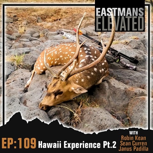 Stream episode Episode 109: The Hawaii Experience with Sean Curren ...