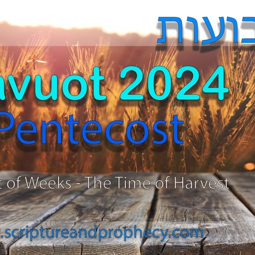 Stream The Book of Ruth: Shavuot 2024, The Feast of Weeks & The Great Harvest (part 2) by ...