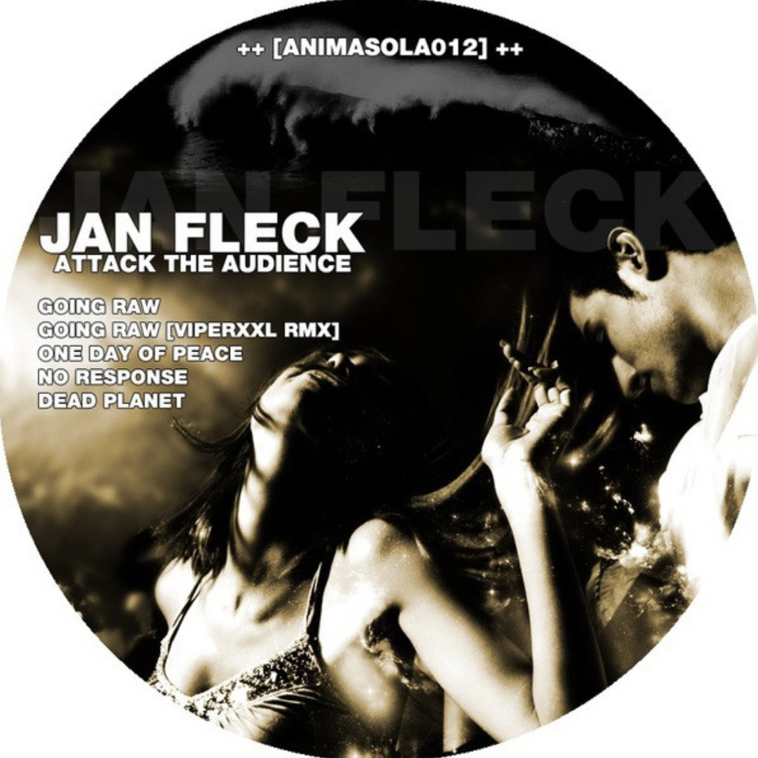 Stream Jan Fleck - Going Raw by thevoid | Listen online for free on ...